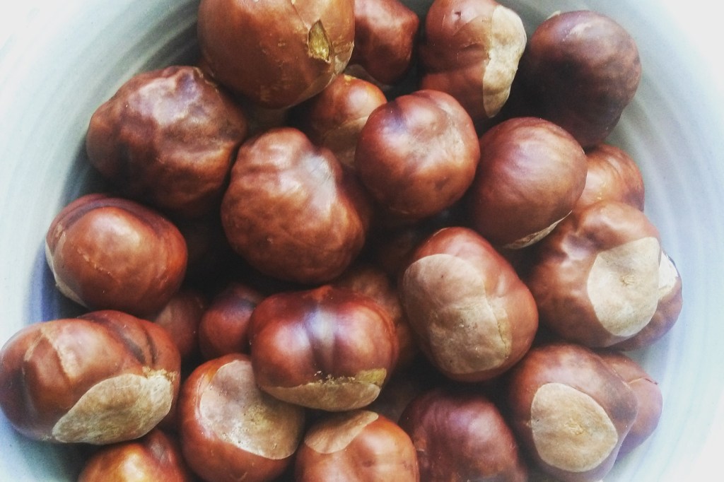 Conker Laundry Liquid; Recipe and Verdict – living lightly in ireland